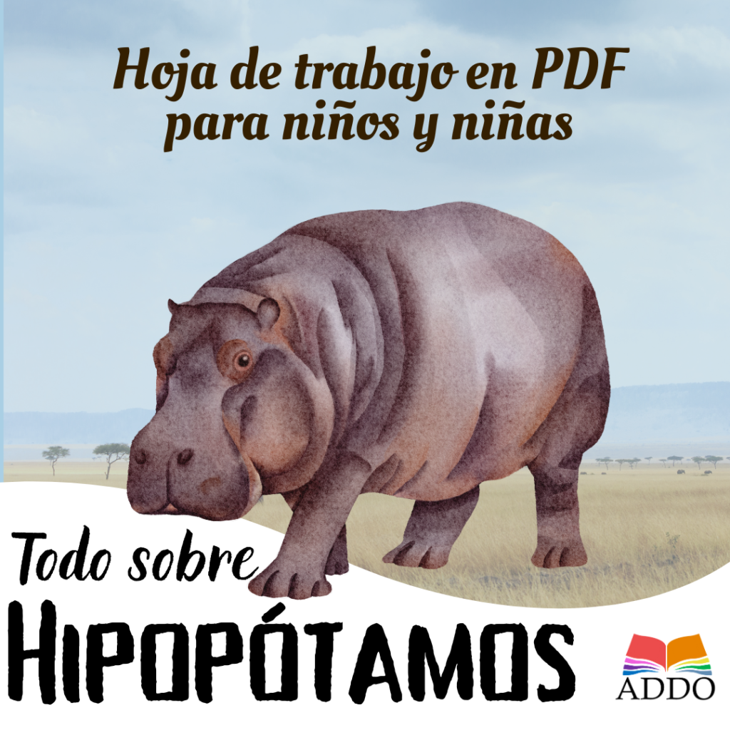 Todo sobre HIPOPÓTAMOS – Hoja de trabajo en PDF – addoeduca.com
